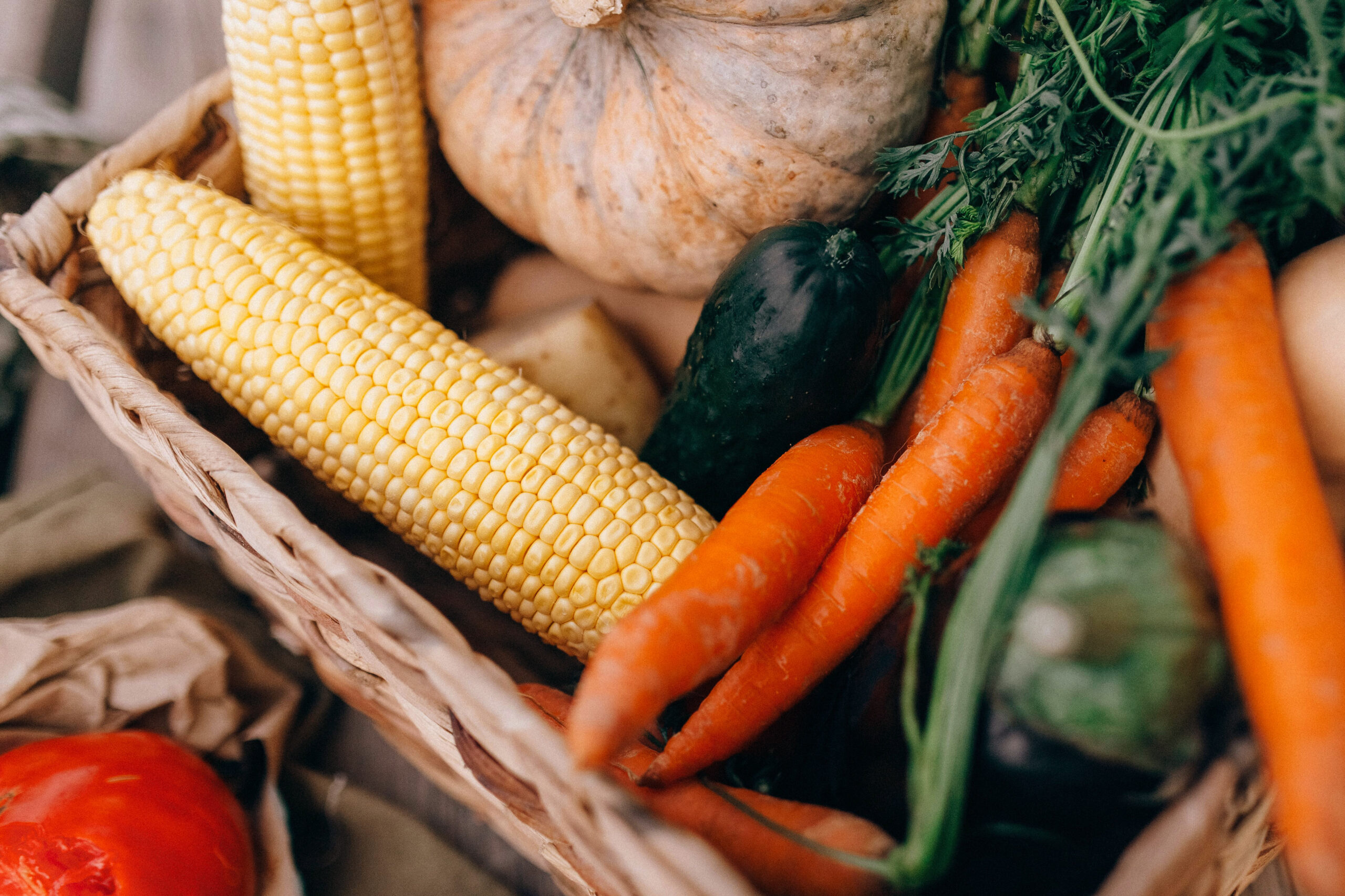 The Types of Natural Colors - Givaudan Sense Colour