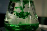 Chlorophyll Chlorophyllin What s The Difference Givaudan Sense Colour Chlorophyll Chlorophyllin What s The Difference Givaudan Sense Colour