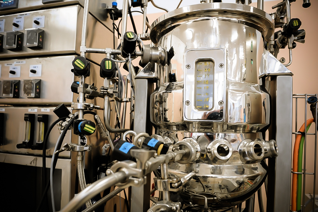 How are Colours Made With Fermentation? - Givaudan Sense Colour