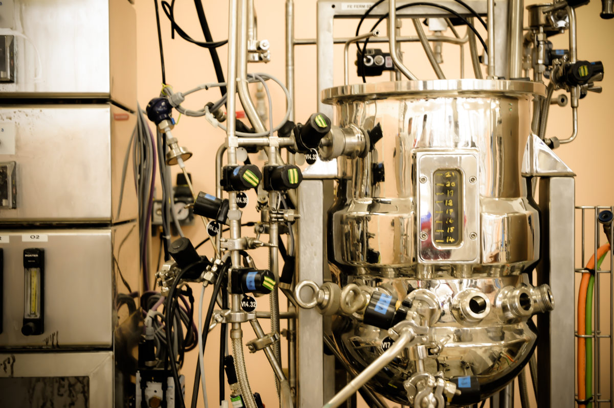 How are Colours Made With Fermentation? - Givaudan Sense Colour