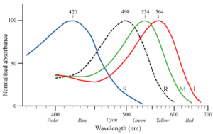 How and Why We See Colour - Learn | Givaudan Sense Colour