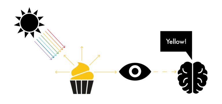 How and Why We See Colour - Learn | Givaudan Sense Colour