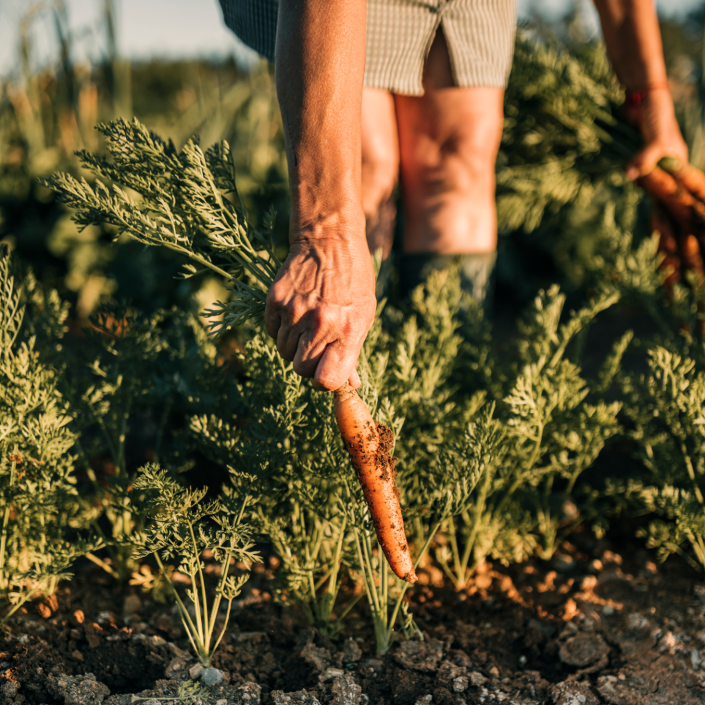 Podcast: Rooted in Science - Givaudan Sense Colour